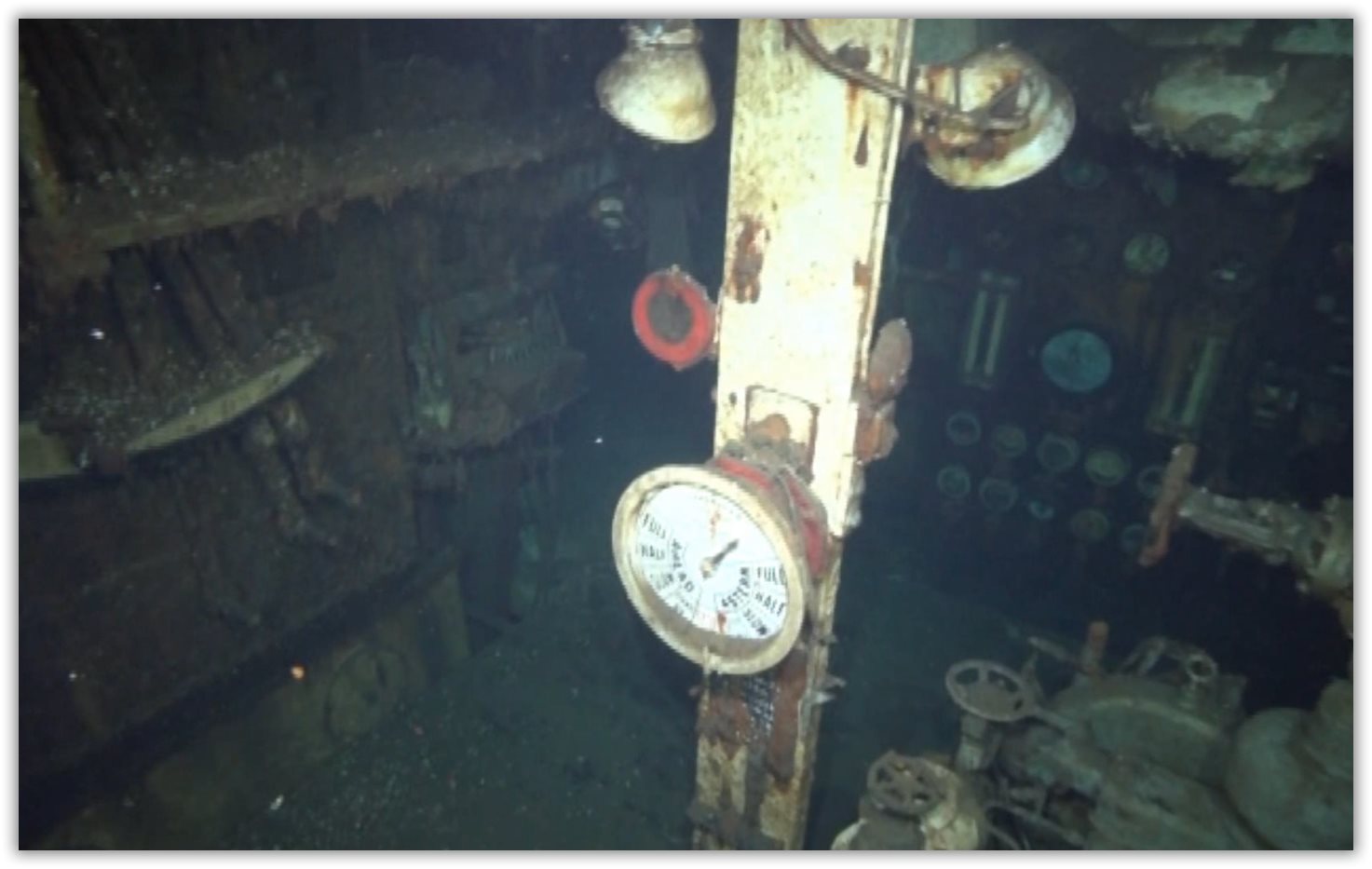 Gallery – Bad Frog Divers